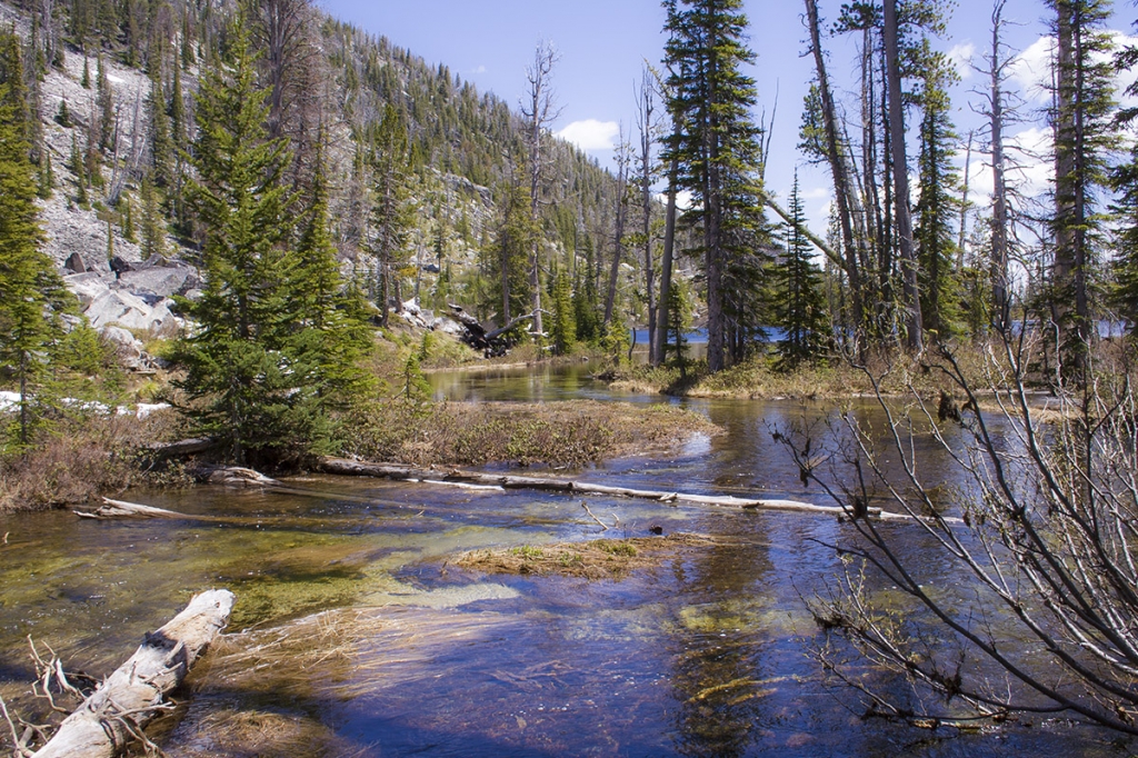 Bitterroot Ranch Vacation - Visit Bitterroot Valley