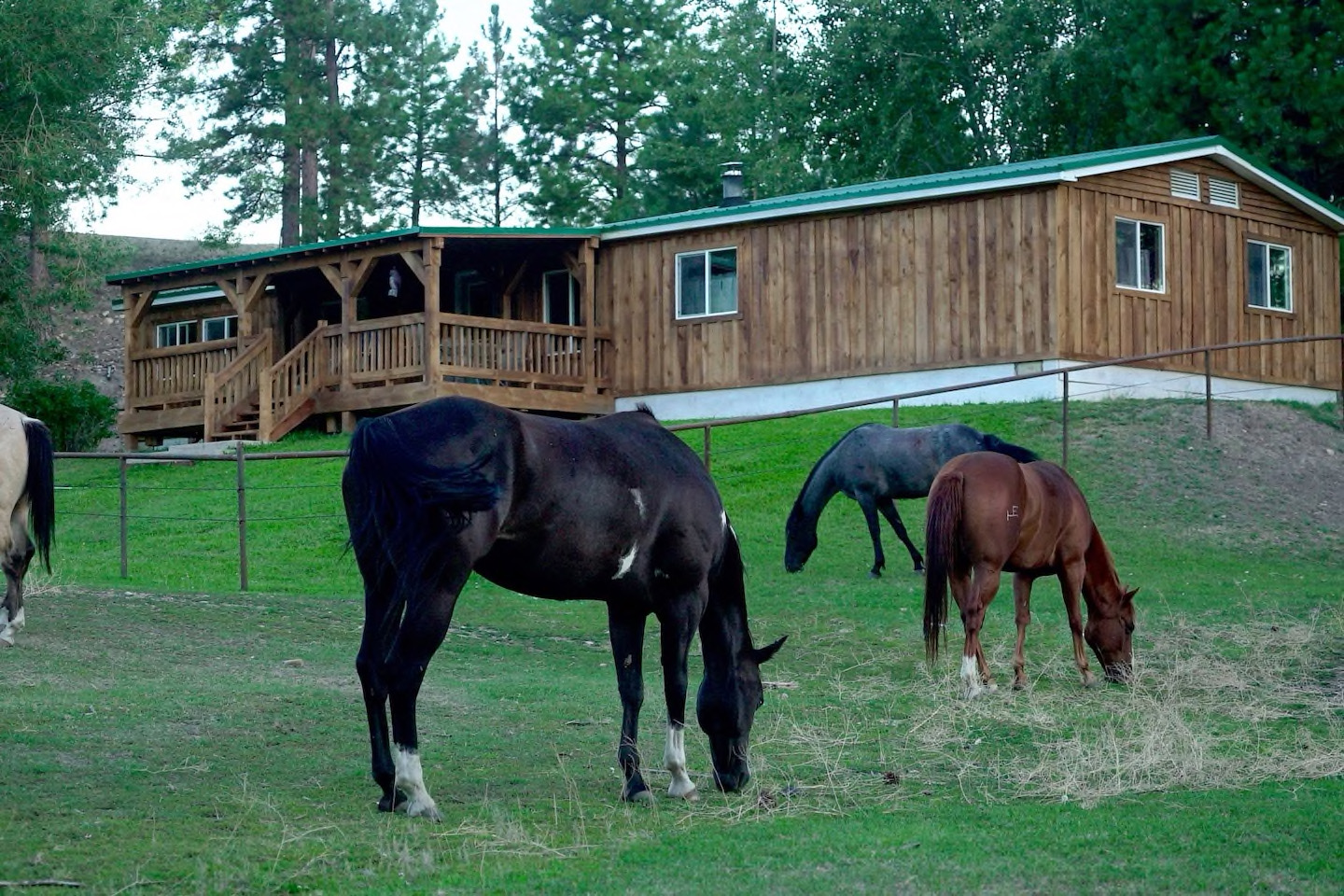 Townsend Ranch-01 - Visit Bitterroot Valley